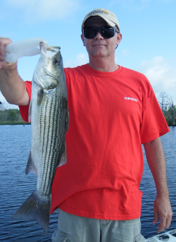 Tar-Pam Guide Service Pamlico and Pungo River Fishing Charters