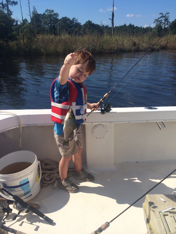 Awesome White Perch Fishing - Tar-Pam Guide Service