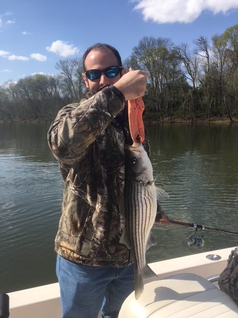 Great Start to the Weldon Season - Tar-Pam Guide Service